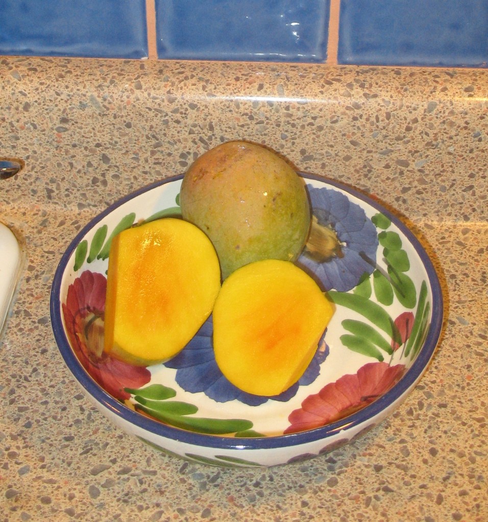 My first mango of the season - Casa de Kathy